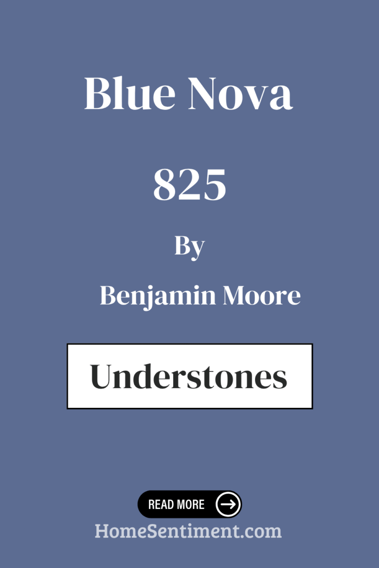 Blue Nova 825 by Benjamin Moore - HomeSentiment
