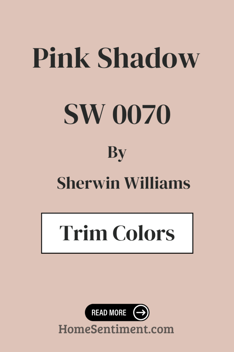 Pink Shadow SW 0070 by Sherwin Williams - HomeSentiment