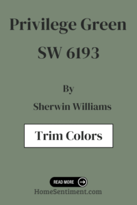 Privilege Green SW 6193 by Sherwin Williams - HomeSentiment