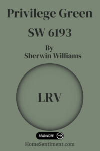 Privilege Green SW 6193 by Sherwin Williams - HomeSentiment