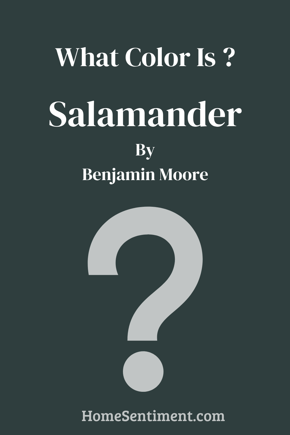 Salamander 2050-10 by Benjamin Moore - HomeSentiment