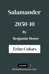 Salamander 2050-10 by Benjamin Moore - HomeSentiment