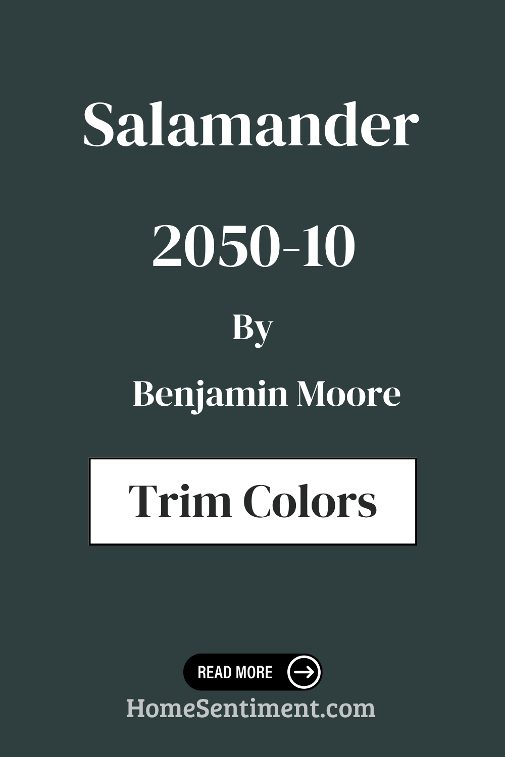 Salamander 2050-10 by Benjamin Moore - HomeSentiment