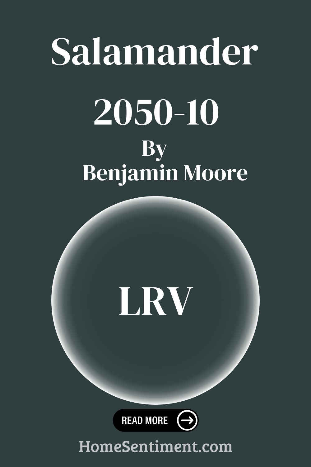 Salamander 2050-10 by Benjamin Moore - HomeSentiment