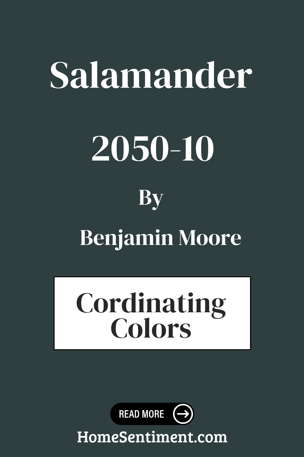Salamander 2050-10 by Benjamin Moore - HomeSentiment