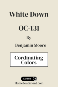 White Down OC-131 by Benjamin Moore - HomeSentiment