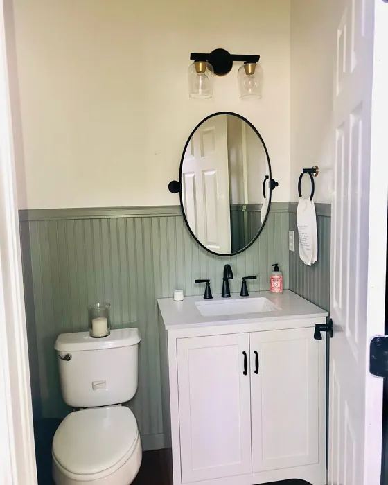 Evergreen Fog SW 9130 by Sherwin Williams | Paint Reviews, Hues ...